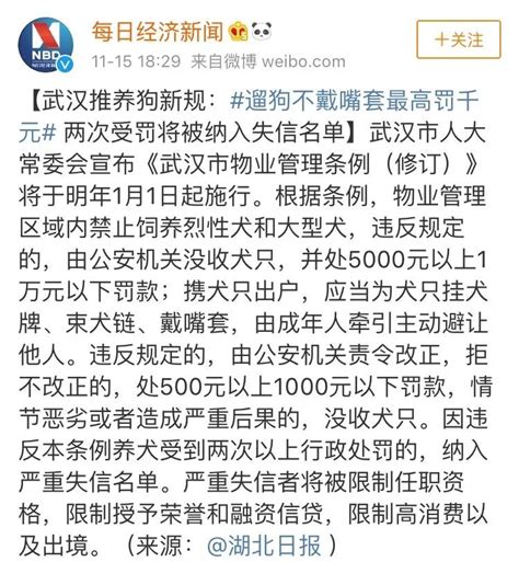 “最严”养狗令：狗可以不懂事 但人必须明事理杭州