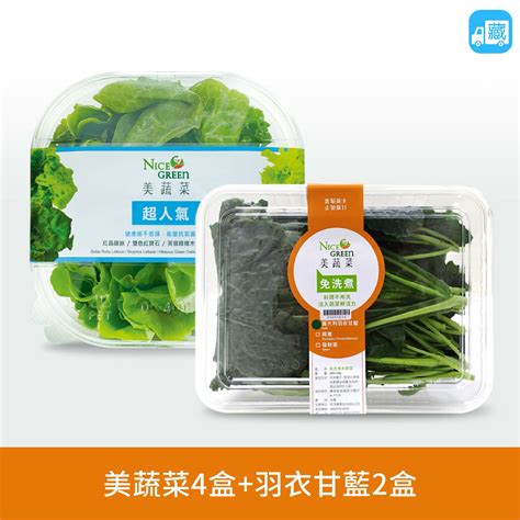 【生菜宅配】美蔬菜 4 入、羽衣甘藍盒2 入｜nice Green美蔬菜