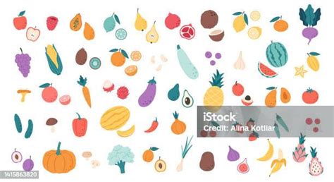 과일 야채 열매 버섯 콩 열대 및 이국적인 과일의 큰 세트 건강 식품 영양학 제품 신선한 비타민 식료품 손으로 그린 벡터 일러스트 레이 션 가을에 대한 스톡 벡터 아트 및