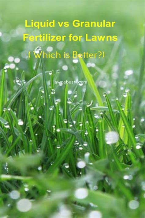 Grass With Water Droplets On It And The Words Liquid Vs Granular