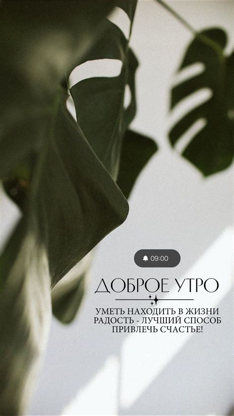 Утренняя Мотивация Идея для сторис Эстетика Вдохновение на неделю