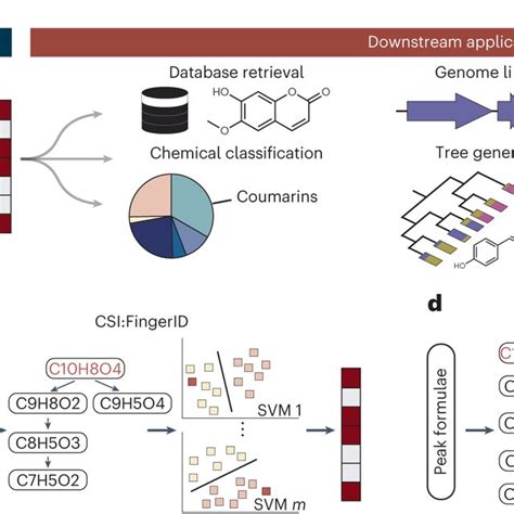 Mist Replaces The Critical Spectrum To Fingerprint Prediction Step In