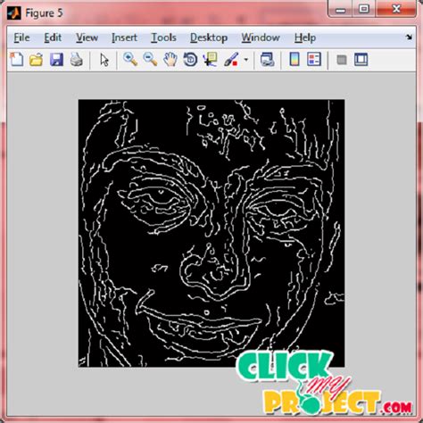 Automatic Facial Age Estimation Clickmyproject