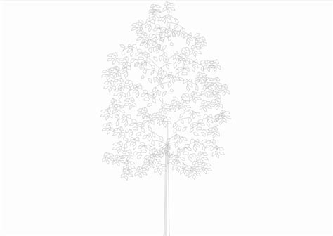 Baum In Autocad Kostenlos Cad Herunterladen 90 31 Kb Bibliocad