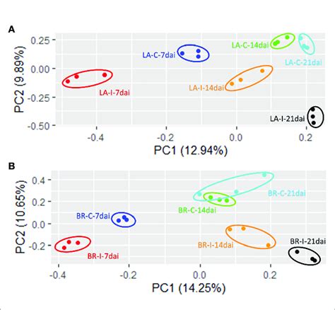 Rna Seq Pca