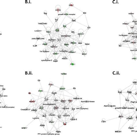 Heat Maps And Hierarchical Clustering Of Host Kinome Responses To
