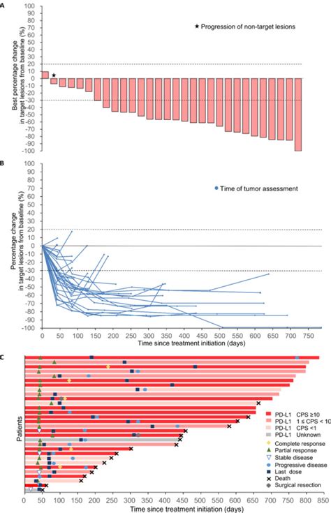 Phase Ii Clinical Trial Using Camrelizumab Combined With Apatinib And Chemotherapy As The First
