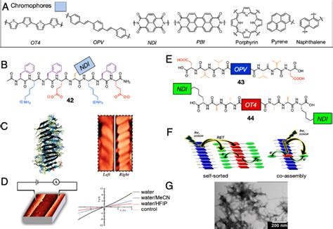 Chromophore Modified Peptides As Electro Photoactive Material A