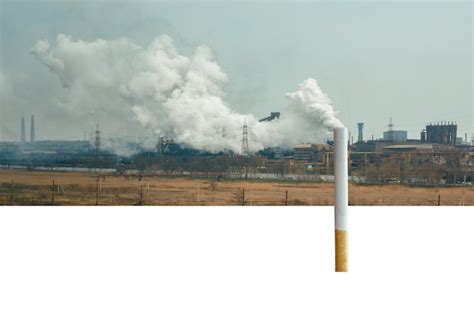 Premium Photo A Cigarette On The Background Of The Plant