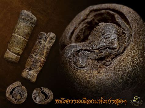 ตะกรุดหนังควายเผือก หลวงพ่อหม่น วัดคลองสิบสอง จ ปทุมธานี ผู้สร้าง
