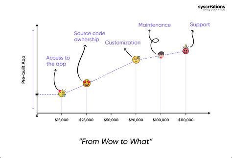 Custom Mobile App Development Vs Pre Built App Real Story