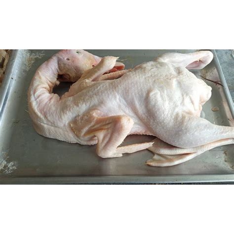 Jual Bebek Peking Frozen 12kg Utuhdaging Bebekbebek Frozenduck