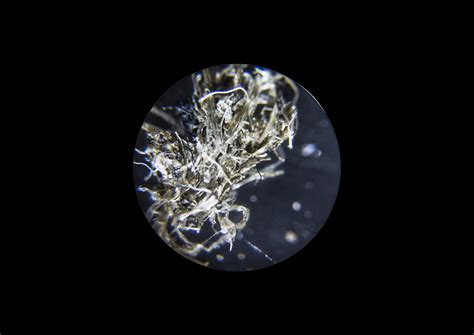 Micro Systems Behance