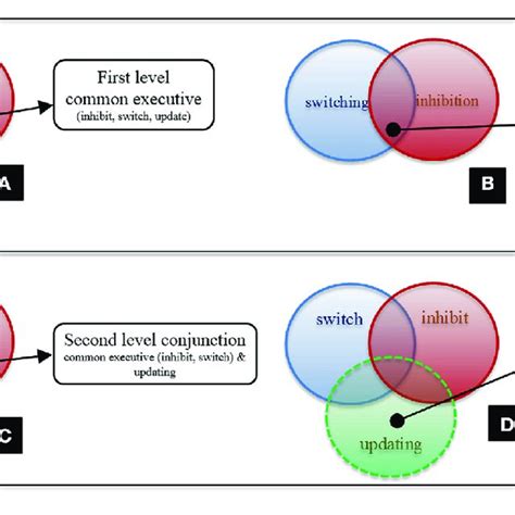 First And Second Level Analysis Design A First Level Common