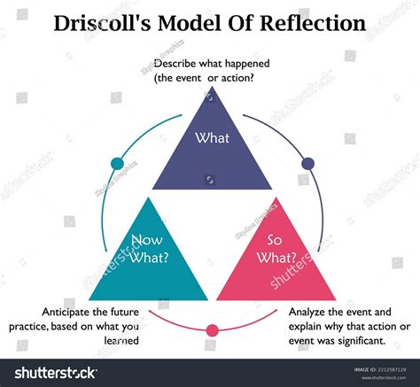 Diligent Elaboration Of Driscoll Model Of Reflection Vrogue Co