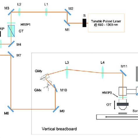 Schematic Of The Custom Made Multimodal Multiphoton Microscope Tunable