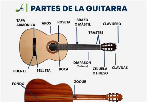 Nociones Basicas De La Guitarra Acustica Los Conceptos BÁsicos De La