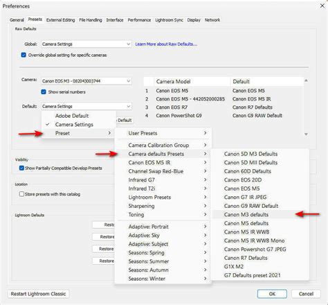 Lightroom Import Presets Are Useful Kept Light Photography