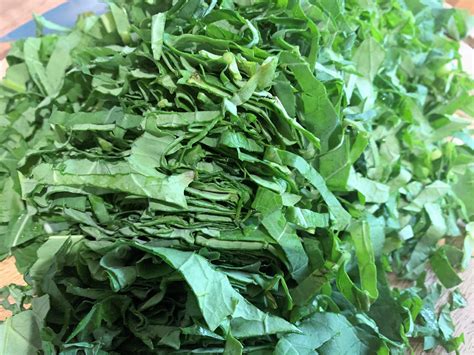 Sarson Ka Saag Foodie Trail