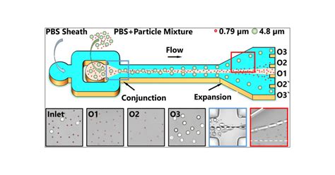 Inertial Separation Of Particles Assisted By Symmetrical Sheath Flows