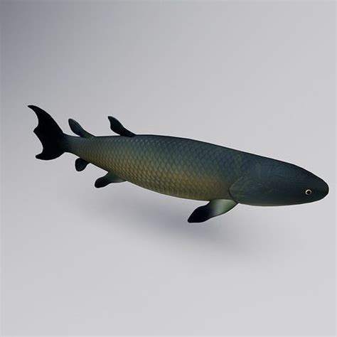 3d Model Eusthenopteron Fish Vr Ar Low Poly Cgtrader