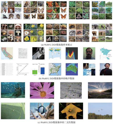[cv Fine Grained Image Recognition]细粒度图像识别综述（上） 知乎