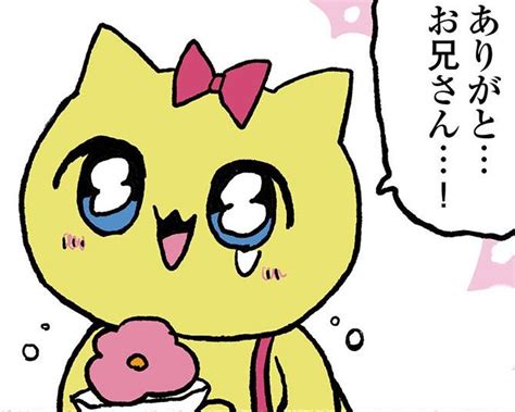 うつねこな日々｜ウォーカープラス