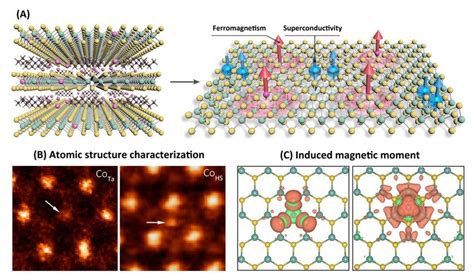 Incorporating Ferromagnetism And Superconductivity Together In A Single Layer Of Molecular
