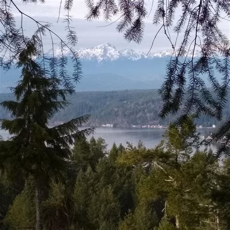 Forest Data Collection And Analysis