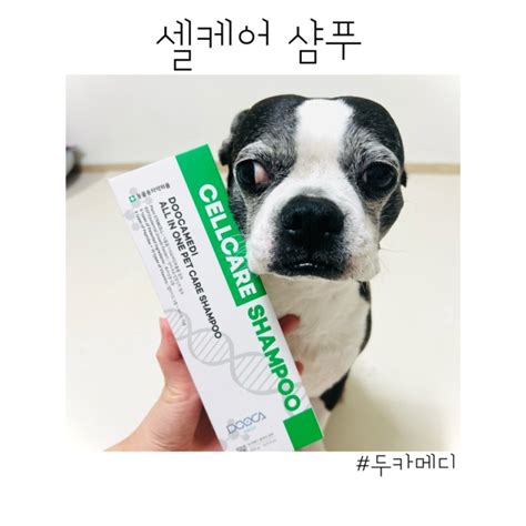 자극없이순한강아지샴푸 줄기세포샴푸두카메디셀케어샴푸 네이버 블로그