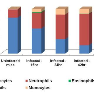 Differential Gene Expression In Acute B Pseudomallei Infection Over 42