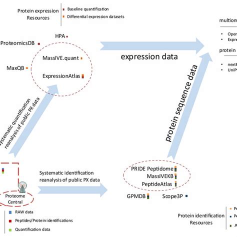 Proteomics Resources Ecosystem From Data Archives To Knowledgebase