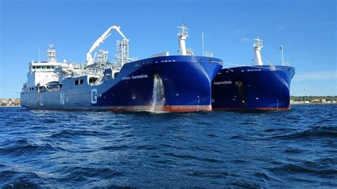 New Orders And Charter Deal Bring Three Lng Bunker Vessels To Vitol