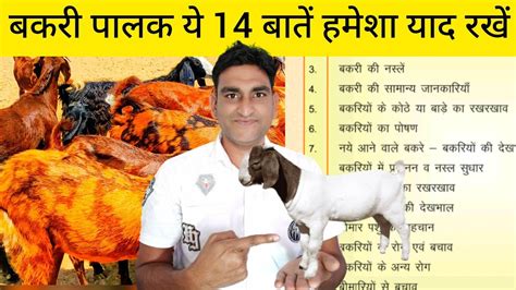 भेड़ बकरी पालन मे ये सावधानियां नहीं रखी तो फार्म बंद हो जायेगा Goat