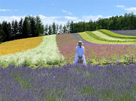 Jr Hokkaido Sapporo Furano Area Pass And Sapporo Noboribetsu Area Pass