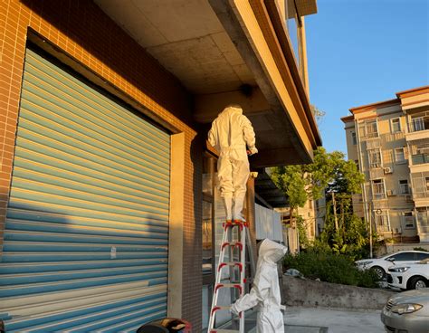 惠州一居民楼惊现马蜂窝，消防：安排！周边群众救援