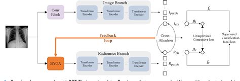 Figure 1 From Radiomics Guided Global Local Transformer For Weakly Supervised Pathology