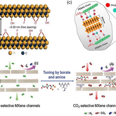 a) The channels with a critical width of 0.35 nm in the MXene laminated... | Download Scientific ...