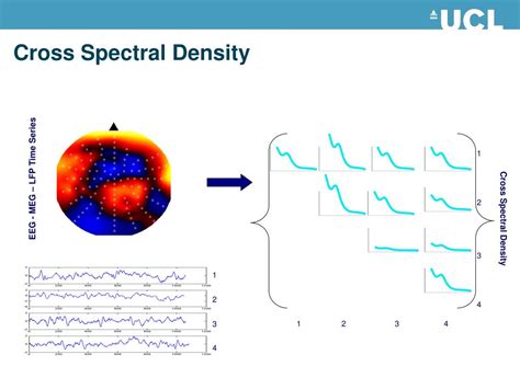 Ppt Dynamic Causal Model For Steady State Responses Powerpoint
