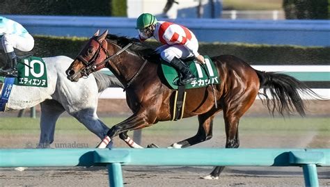 さたの趣味競馬写真、カメラ、一口、予想 中山競馬場 12月8日 11r Giii カペラステークス 11 チカッパ×横山典弘 久しぶり