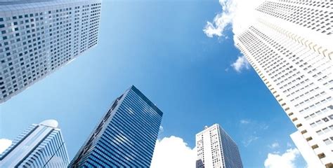 스마트폰 디스플레이 올레드비중 60돌파인터넷저널