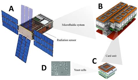 Meet Biosentinel The First Biological Experiment In Deep Space