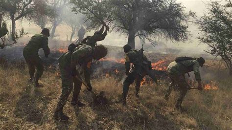 Militares Entrenan Para Combatir Incendios Forestales En Colima N