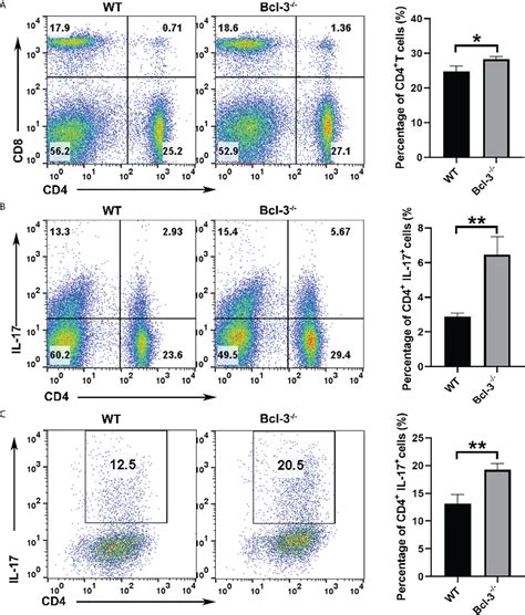 Frontiers Bcl 3 Regulates The Function Of Th17 Cells Through Raptor