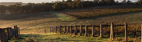 Department Of Economics Website Backtesting VaR Models An Expected Shortfall Approach