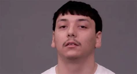 Acusan A Sebastián Trujillo De Matar A Su Perro Husky En Jolliet Tiene