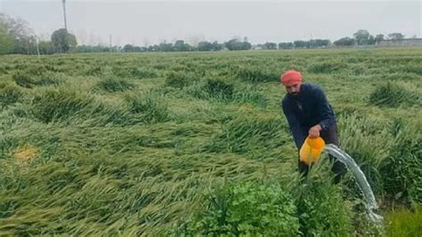 Sowing Of Rabi Crops The Ground Water Level Fell In Many States Up 14