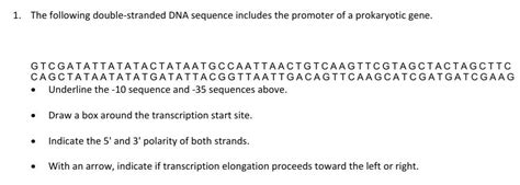 Solved 1. The following double-stranded DNA sequence | Chegg.com