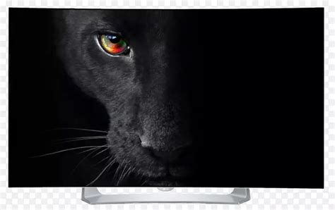 lg b6v oled lg oled c8 4k分辨率超高清晰度电视lgpng图片素材下载 图片编号5701284 png素材网