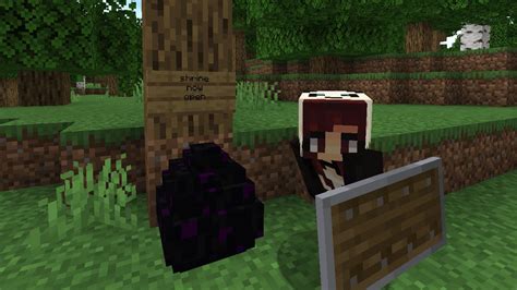 Philza Updates 💚🎗 On Twitter Rt Ph1lza